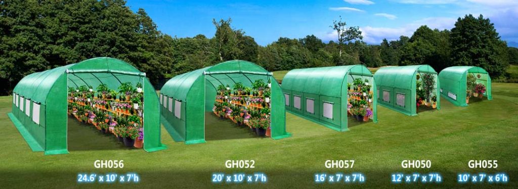 Polytunnel - GREENHOUSE